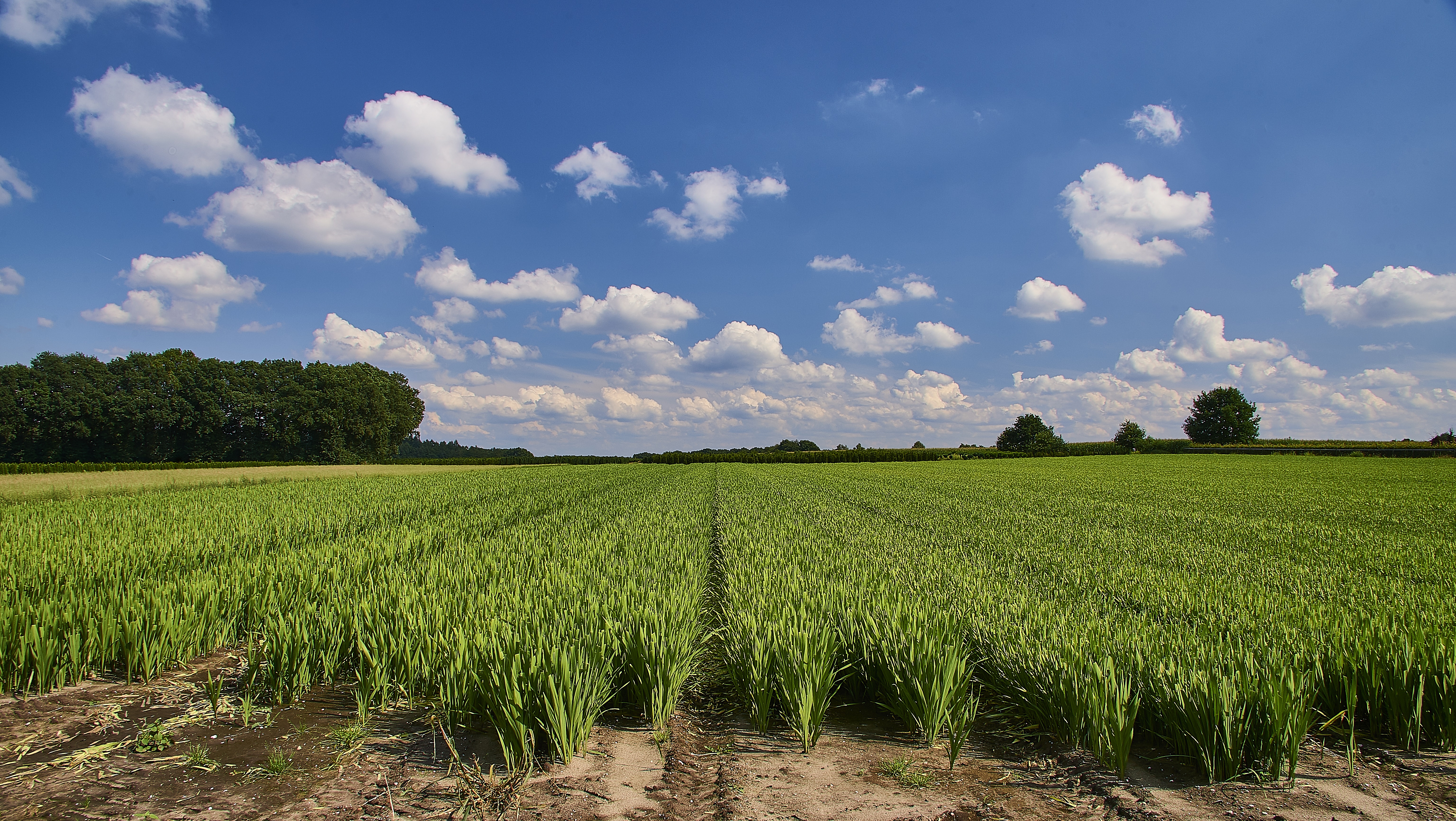 Platform Multifunctionele Landbouw - LTO