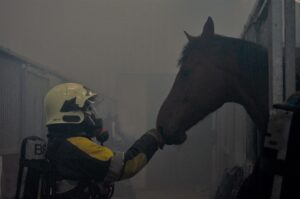 Voorkom die onnodige stalbrand - LTO