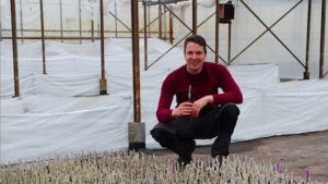 Martijn Doorn nieuw bestuurslid LTO Bomen, Vaste planten en ...